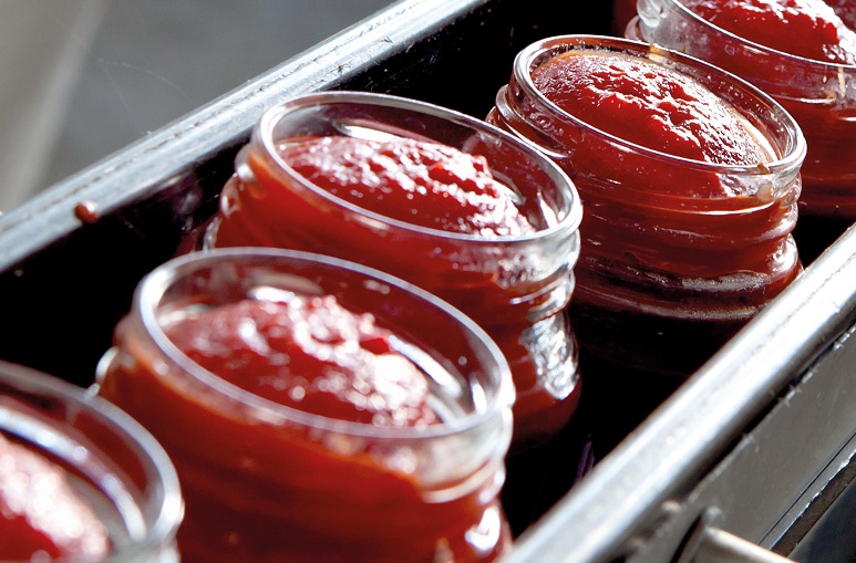 Applicazione spettroscopia Vis/NIR nei derivati del pomodoro